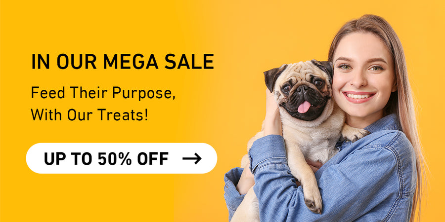 Freeze Dried Raw Dog Food, Cat Food and Treats