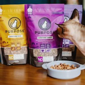 Freeze Dried Raw Dog Food, Cat Food and Treats