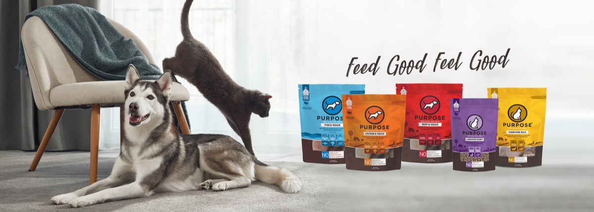Freeze Dried Quality Raw Dog and Cat Food