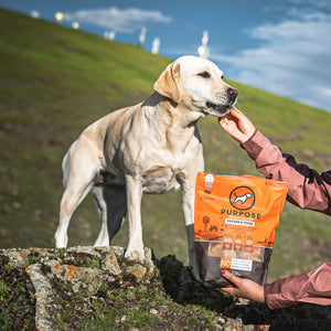 Chicken & Veggie Freeze-Dried Raw Dog Food