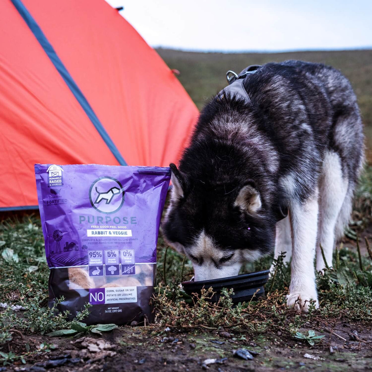 Rabbit & Veggie Freeze-Dried Raw Dog Food